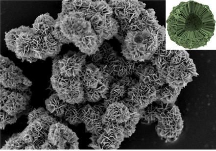 Development of Double-Flower-Shaped Nano Adsorbent... 99% Removal of ...