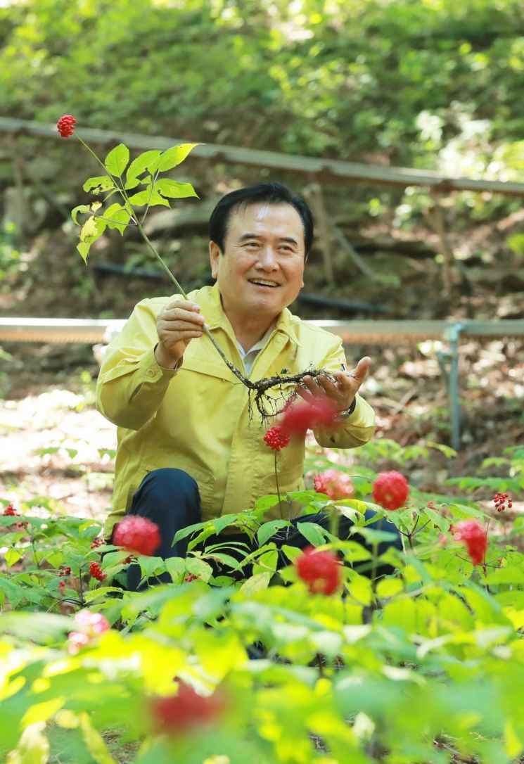 Improving Brand Awareness of Hamyang Wild Ginseng and Fostering the ...