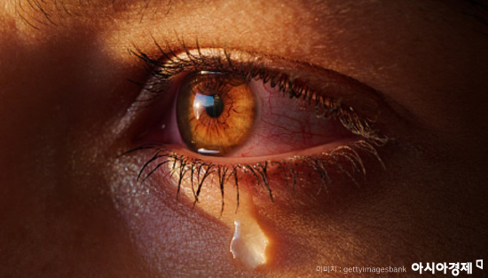 The Obvious Reason Why I Shed Tears - The Asia Business Daily