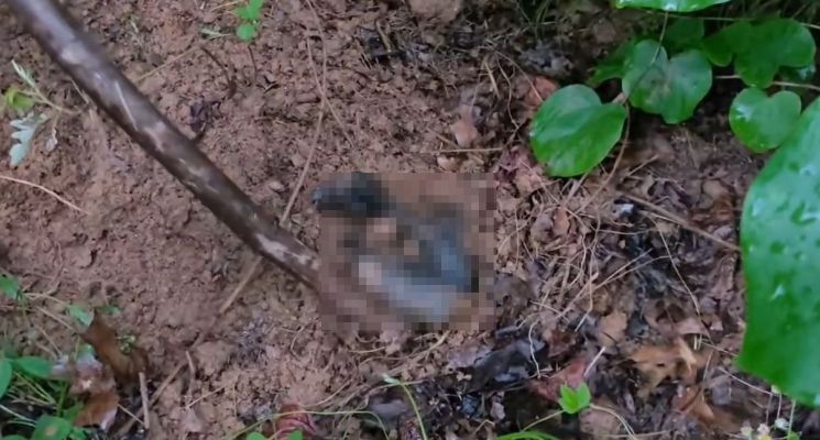 Drugs Found Underground?…New 'Mutdeurap' Drug Distribution Thrives ...