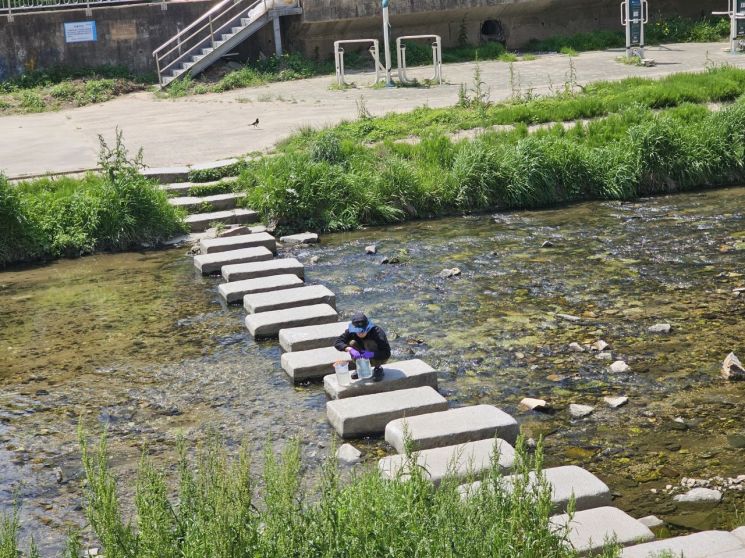76.7% of 49 Gyeonggi-do Rivers Have 'Good Water' Quality - The Asia ...