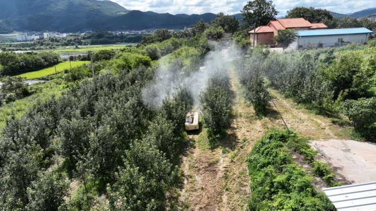 Cheongsong County Launches Cold Damage Prevention for Fruit Growers in ...