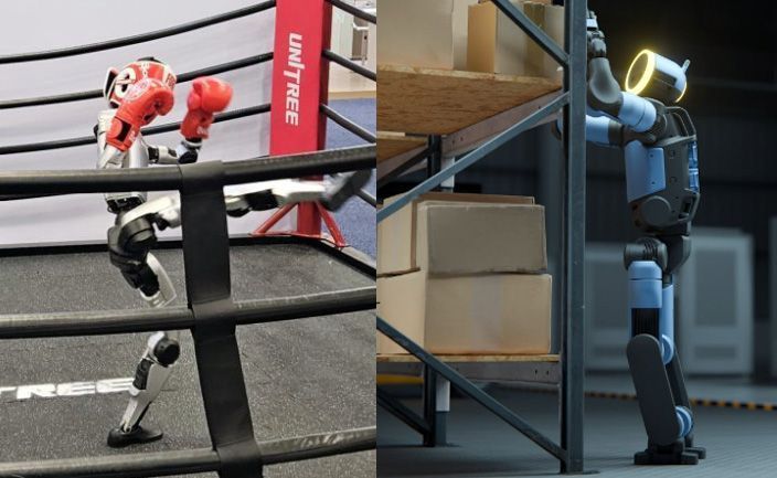 Boxing Robots vs. Factory Robots: Which Will Change the World More ...